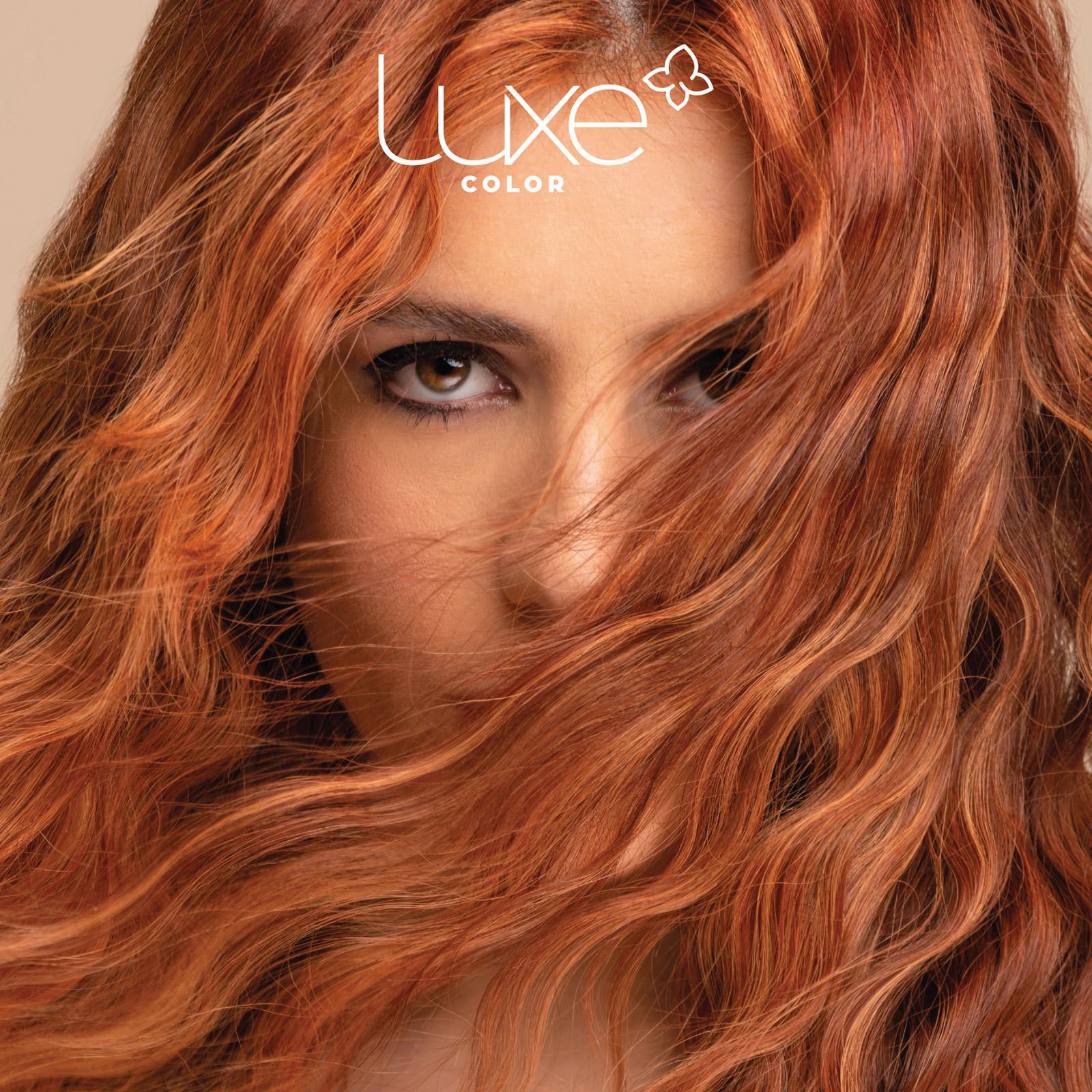 LUXE COLOR – Groupe Binani Desbo – Distributeur pour les professionnels ...